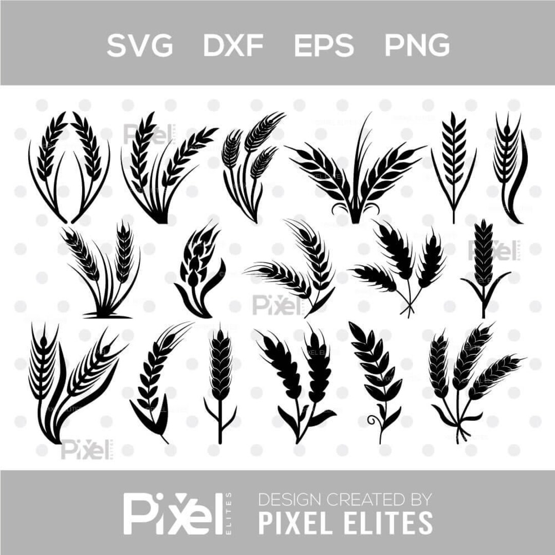 Wheat SVG Cut Files | Grain Barley Silhouette Bundle | Harvest ...