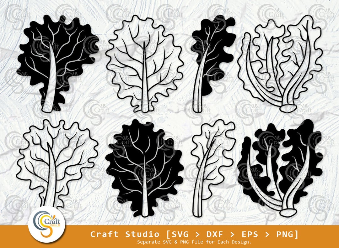 Lettuce Svg Silhouette Outline Cricut Cut Files Png Bundle, - Etsy Canada