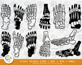 Foot Bones Poster Set of 8 Osteology Art Human Foot Anatomy - Etsy