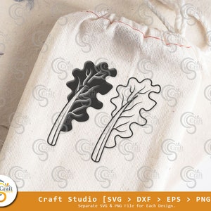 Lettuce Svg Silhouette Outline Cricut Cut Files Png Bundle, - Etsy Canada