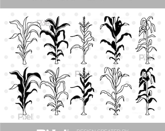 Corn Stalk SVG, Corn Stalk Outline, Corn Tree Svg, Corn Svg, Corn Stalk ...