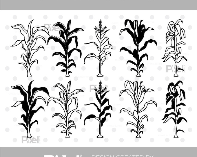 Corn Stalk Svg, Corn Stalks Svg, Corn Svg, Popcorn, Popcorns, SVG, Ai ...