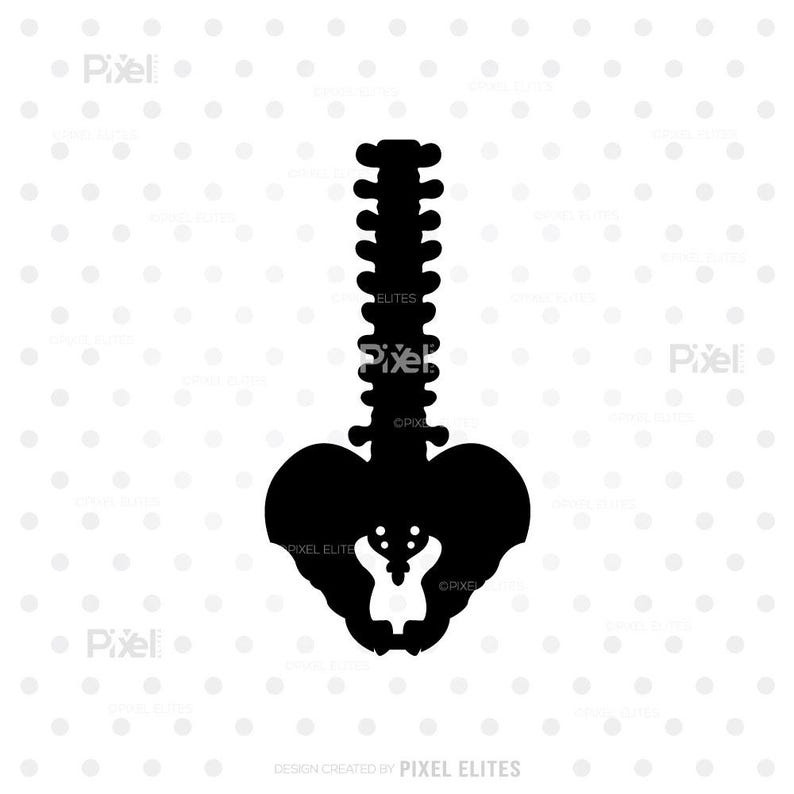 Anatomy Spine SVG Cut File Silhouette, Anatomy, Human Spine Bundle ...