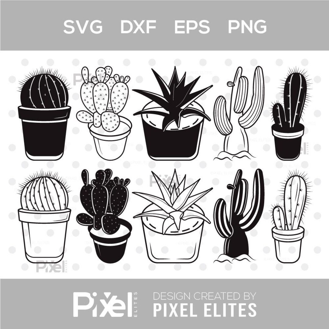 Cactus SVG Bundle, Succulent Outline, Desert Plant Cut File (eps Png ...