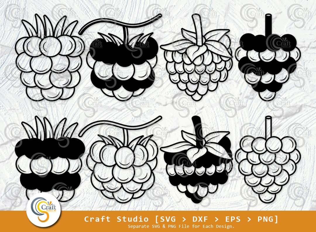 Raspberry SVG Raspberry Silhouette Fruits Svg Blackberry - Etsy