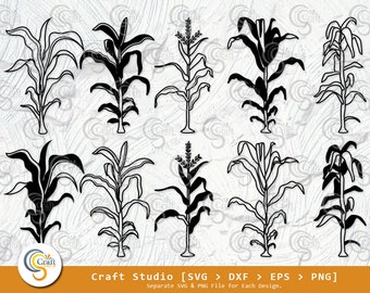 Corn Stalk SVG, Corn Stalk Outline, Corn Tree Svg, Corn Svg, Corn Stalk ...