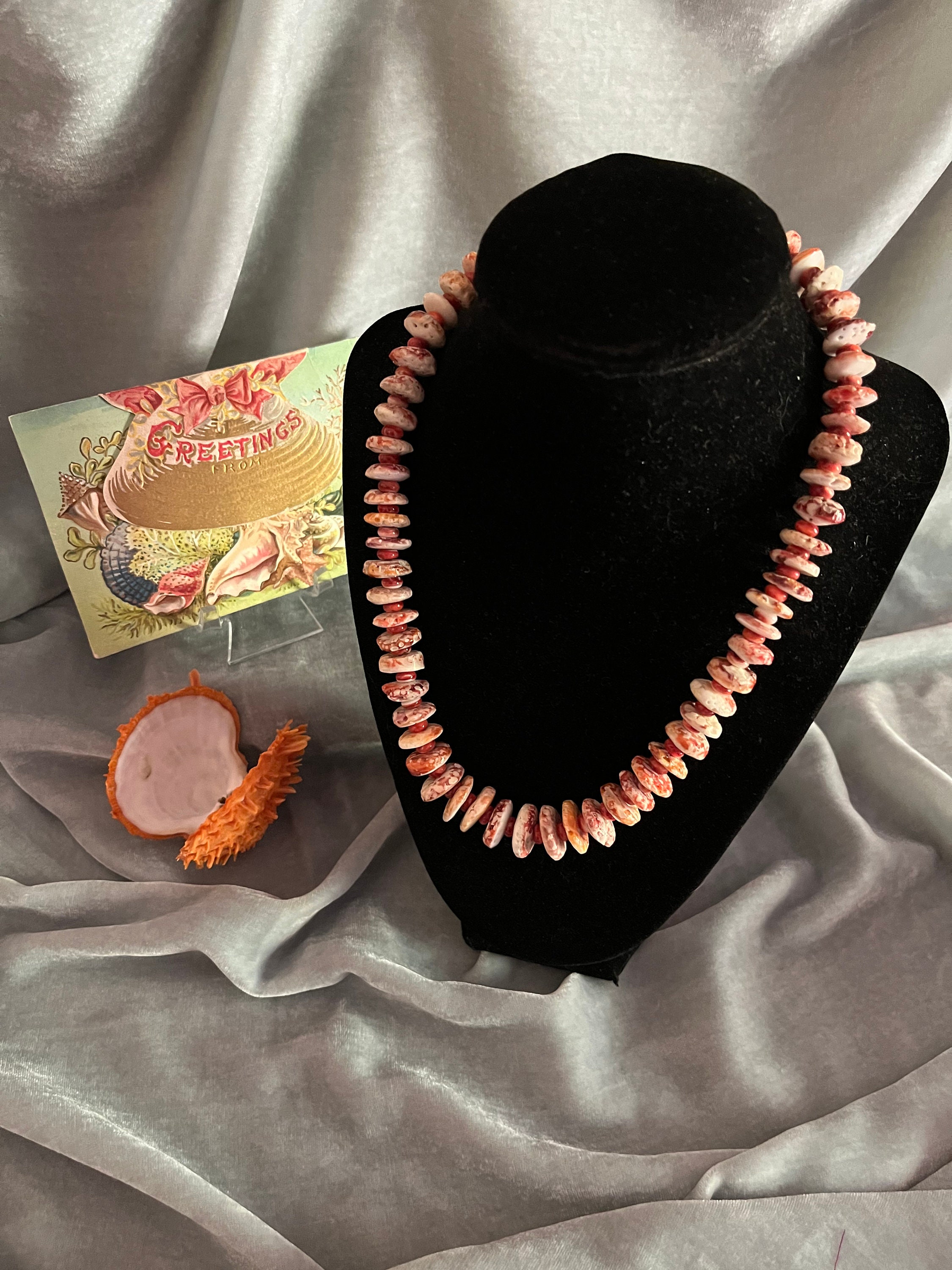 Spiny Oyster 18 Necklace Vintage Jewelry Rare Shell - Etsy