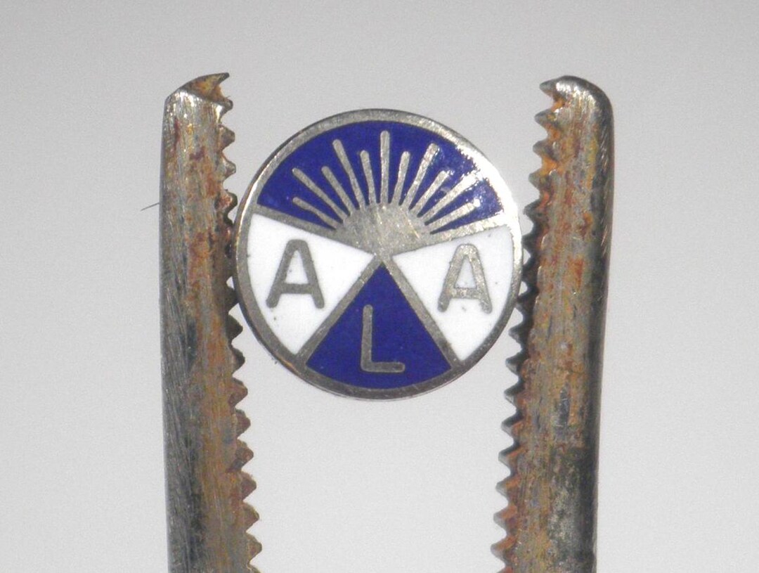 American Legion Auxiliary Lapel Pin Vintage Sunrise Logo - Etsy