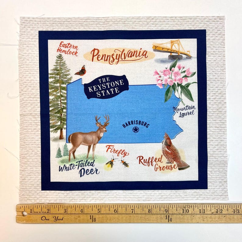 State Fabric Blocks - Limited Edition - Maryland, Delaware, West ...