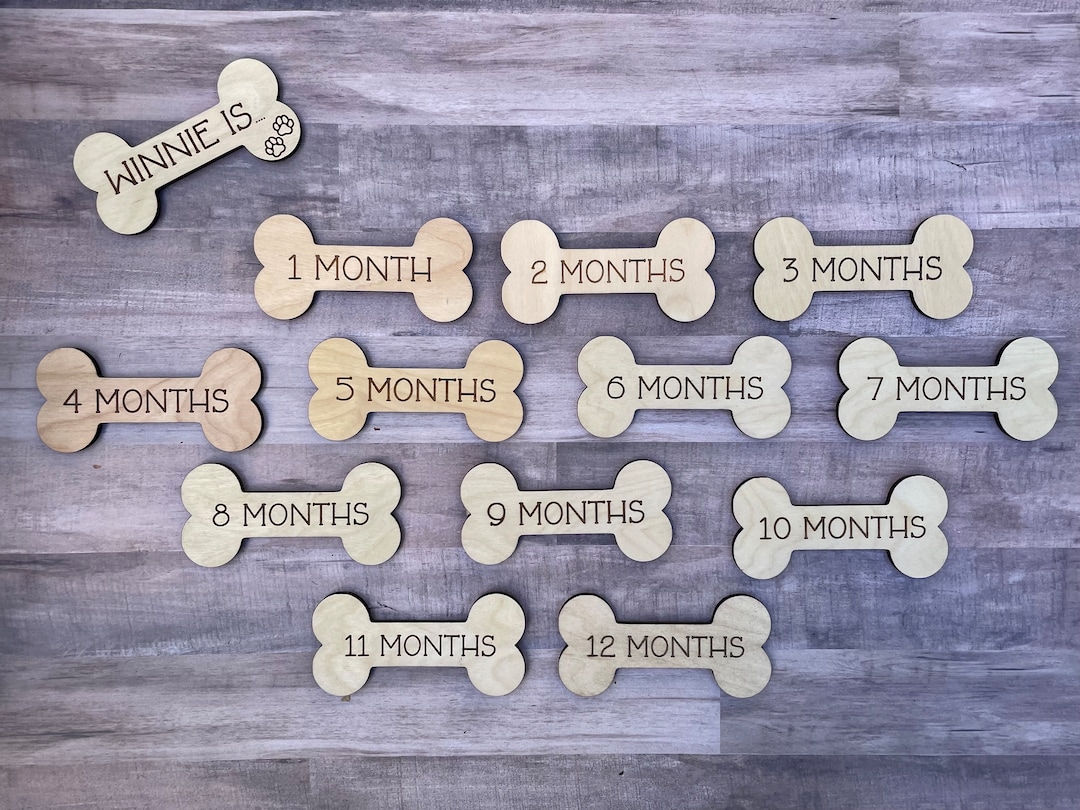 Puppy Dog Bone Monthly Milestone Markers/ Perfect for a Dog Loving ...