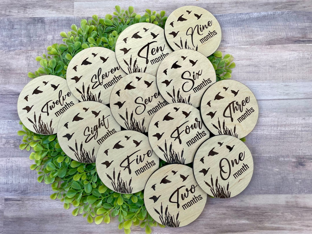 Duck Hunting, Outdoors, Gaming Theme Baby Monthly Milestone Markers ...