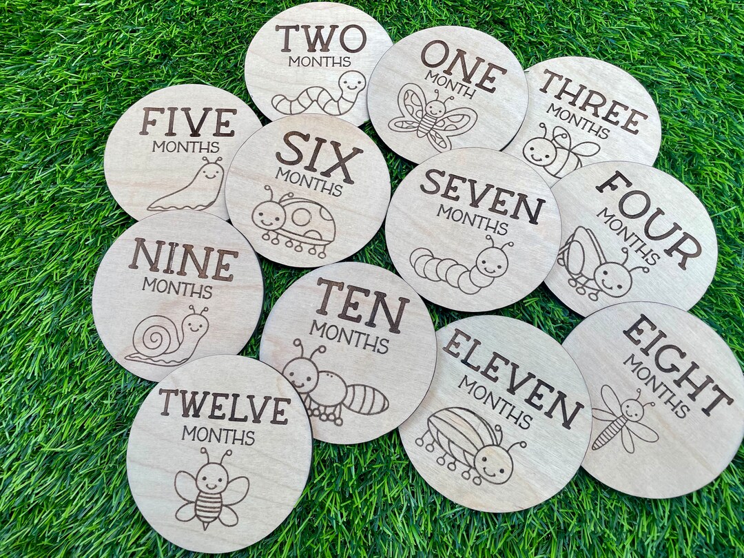 Little Bug Monthly Milestone Markers/ Cute Bugs Baby Shower Gift ...
