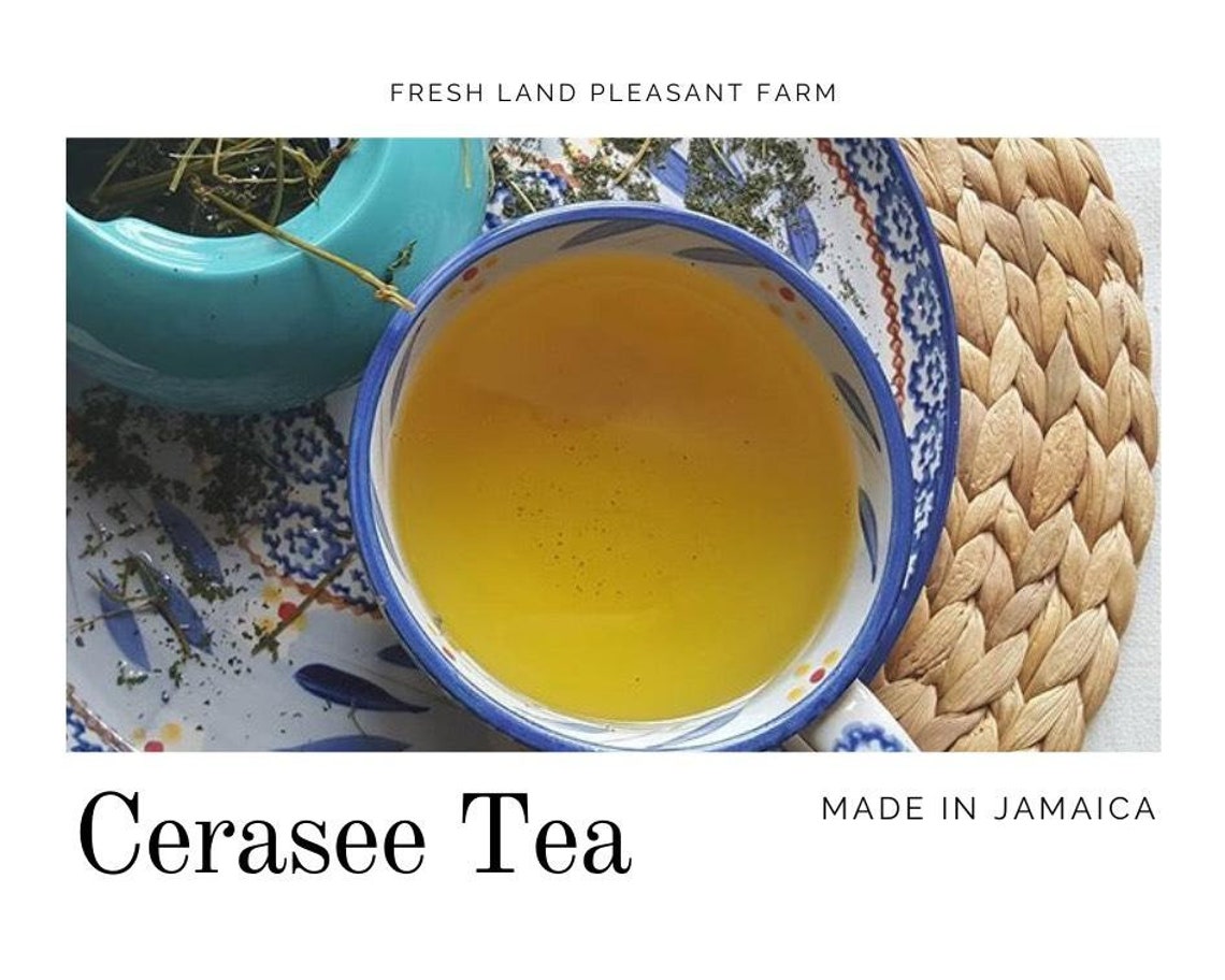 CERASEE TEA powder Jamaican Produce 100% Organic Bitter Melon Momordica ...