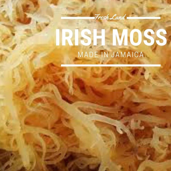 Wild Crafted Irish Moss - Etsy