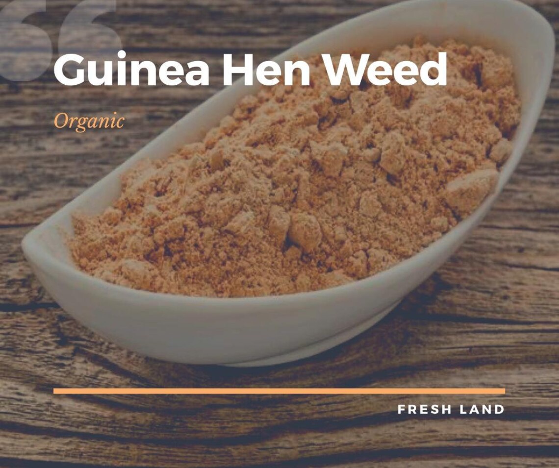 GUINEA HEN WEED 100% Natural Root Powder anamu or Gully Root Produce ...