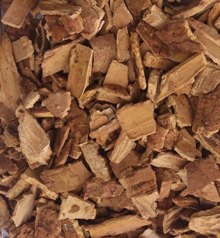 Venta RA-MOON Polvo / Ramoon Trophis Racemosa/ Ramoon blanco/ Muraceae ...