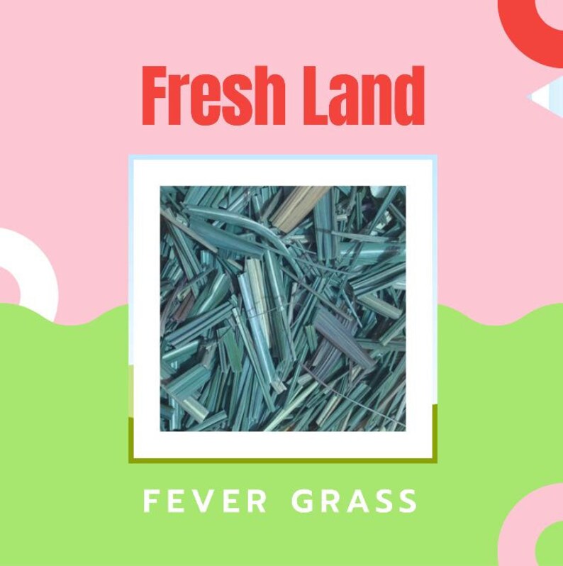 LEMON GRASS /fever Grass 100% Lemon Grass Tea Organic - Etsy