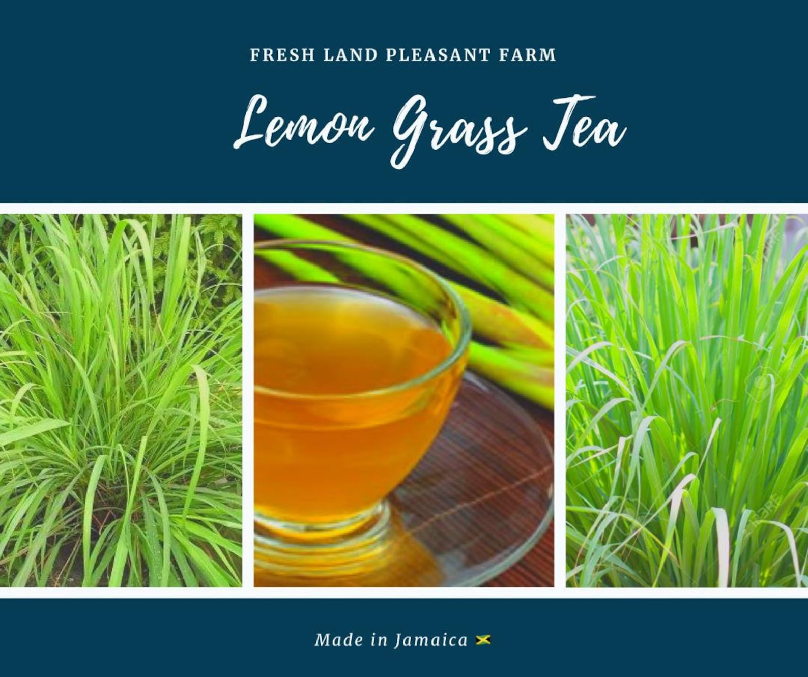 Sale Lemon Grass Fever Grass Tea Powder 100 Organic Lemon Grass Fever Herb Natural Product