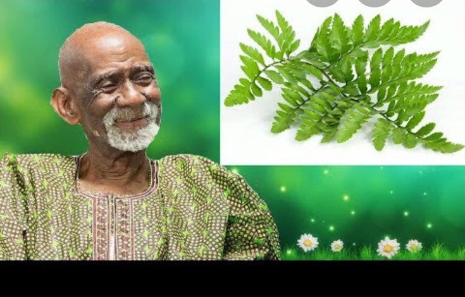 Bulk KALAWALLA FERN POWDER 100% Organic Jamaican wholesale Other Name ...