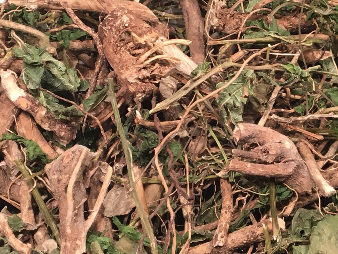 GUINEA HEN WEED 100% Natural Root Powder anamu or Gully Root Produce ...