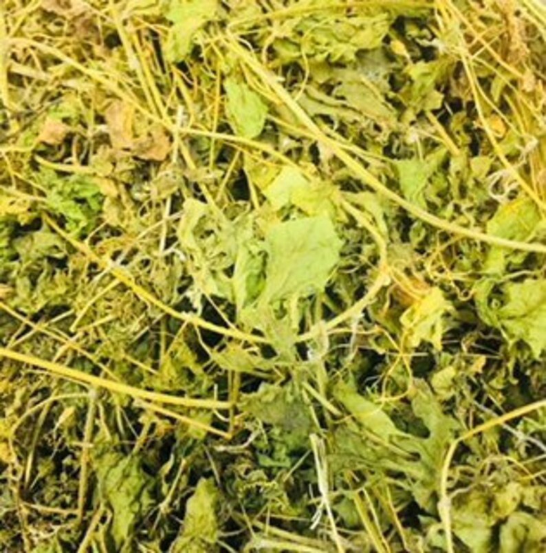 CERASEE TEA (powder) Jamaican Produce- 100% Organic| Bitter Melon ...