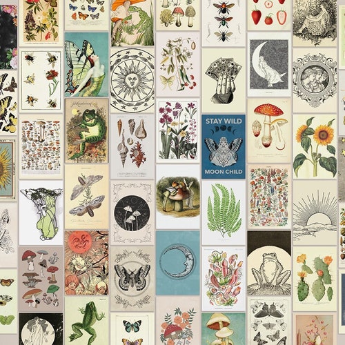 100 Printed 4x6 Wall Collage Kit Cottagecore Flowers Photo Etsy