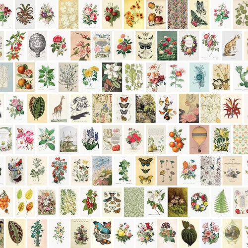 50 Printed 4x6 Vintage Cottagecore Aesthetic Wall Collage Kit Etsy