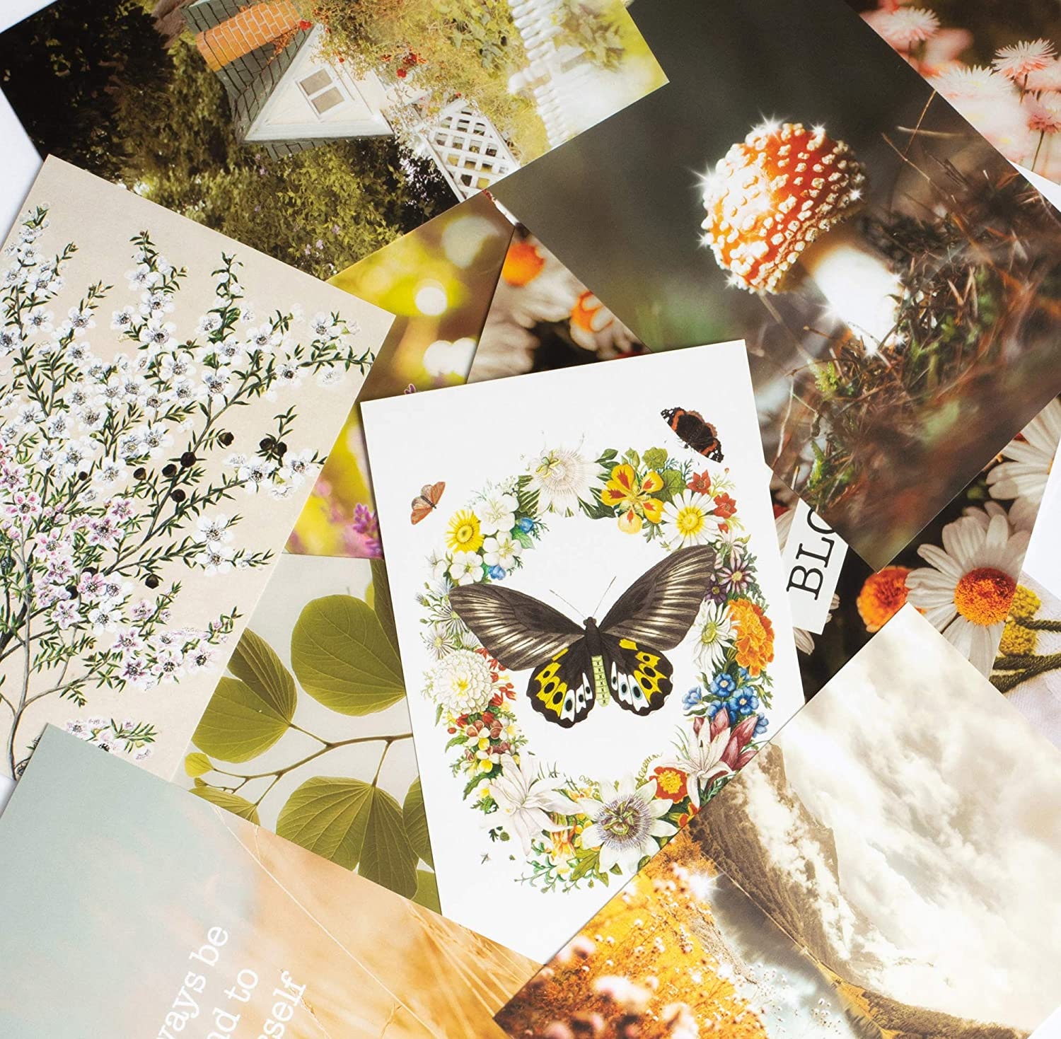 50 Printed 4x6 Wall Collage Kit Cottagecore Flowers Photo Etsy