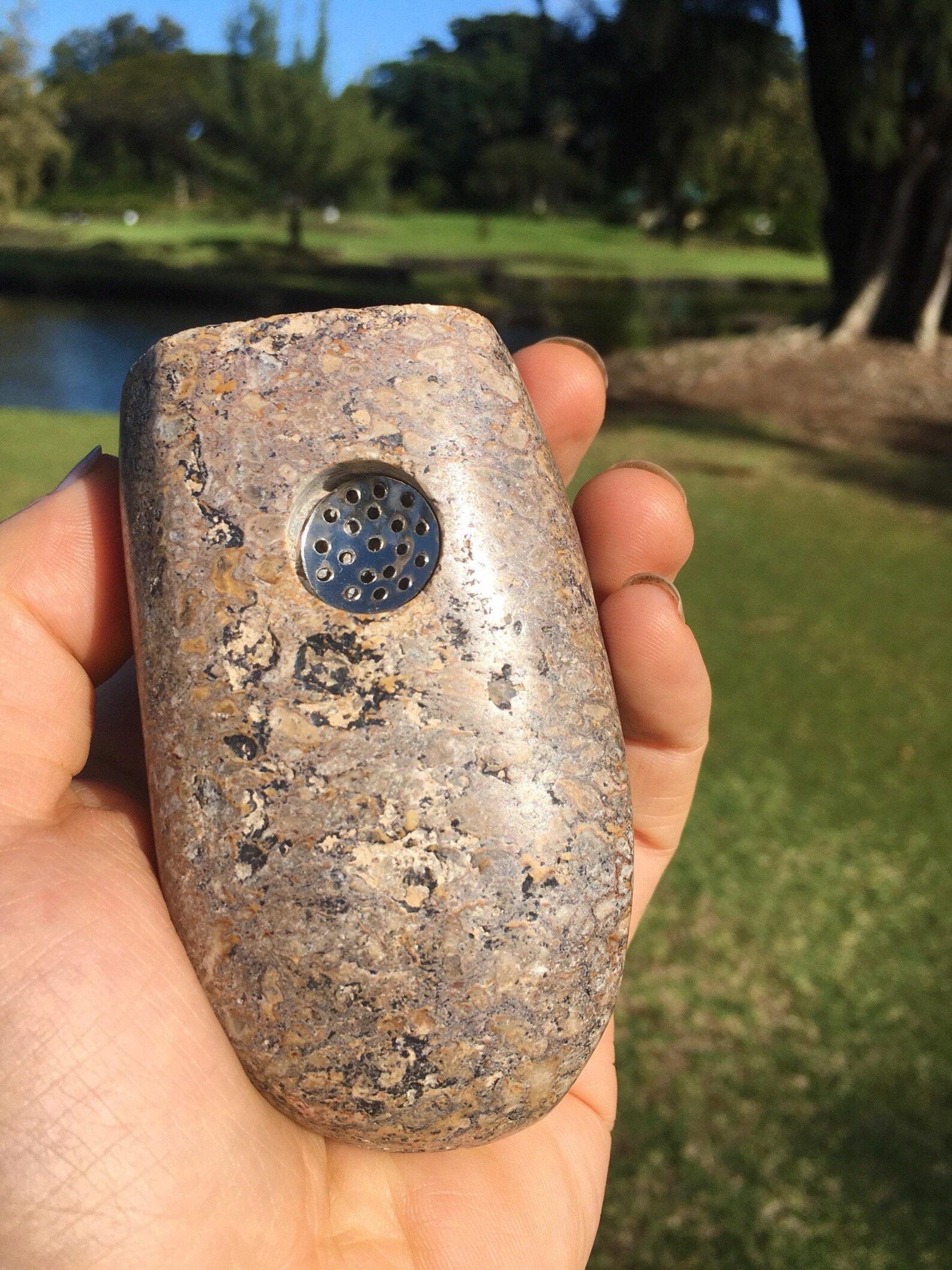 Giant Dinosaur Bone Pipe Fossilized Triceratops Bone Genuine - Etsy