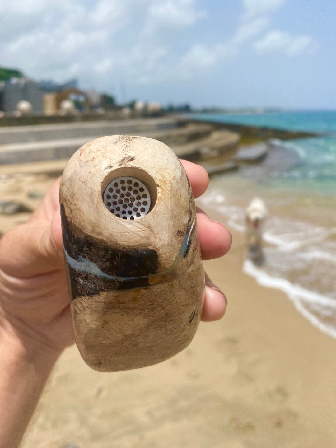 Indonesian Petrified Wood Pipe. Rare Stunning Millions of Years Old ...