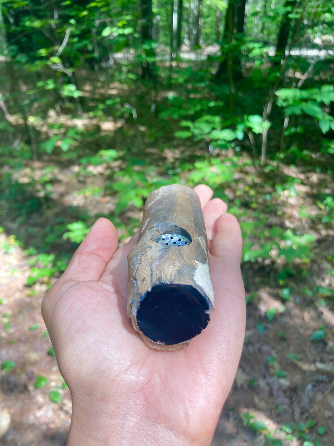 Large Petrified Wood Pipe 200 Million Years Old From the Triassic ...
