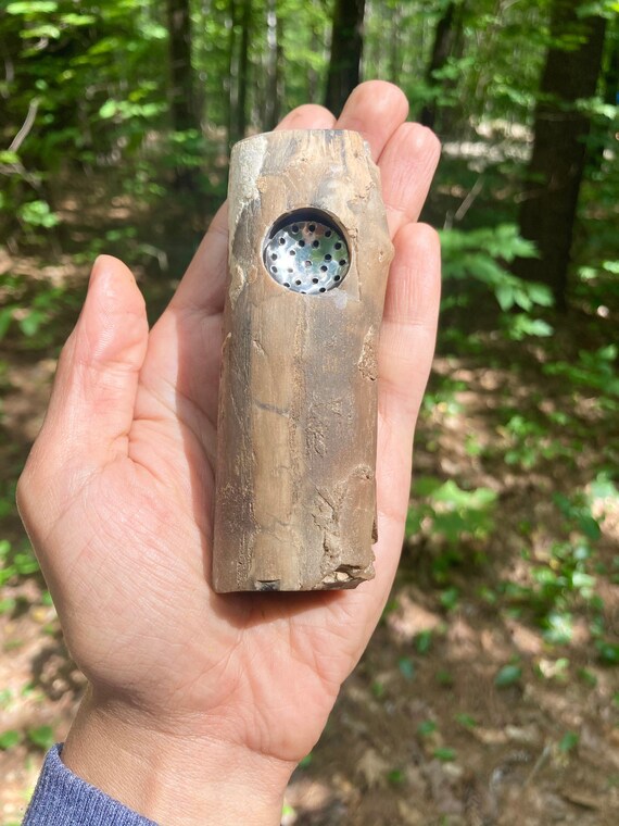 Large Petrified Wood Pipe 200 Million Years Old From the - Etsy