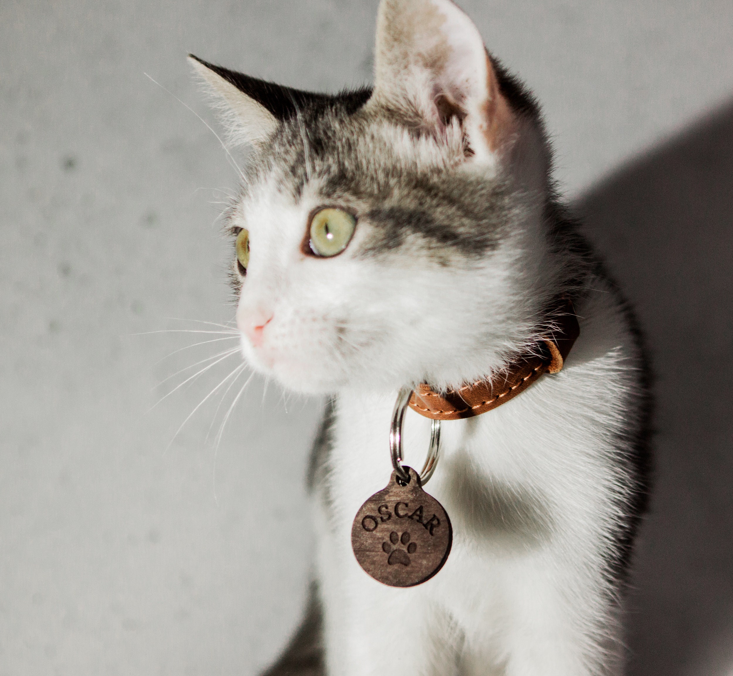 Leather Cat Collar,kitten Collar,customized Cat Collar,leather Pet ...