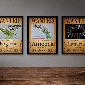 Microbe Hunter Wanted Poster Printable Classroom Decoration Fun Biology ...
