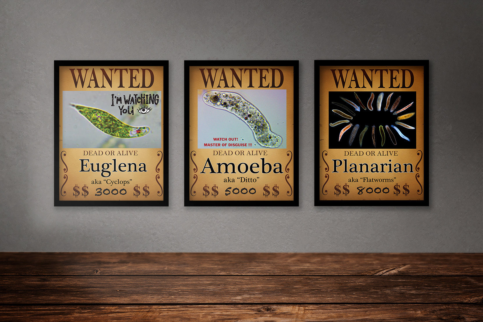 Microbe Hunter Wanted Poster Printable Classroom Decoration Fun Biology ...