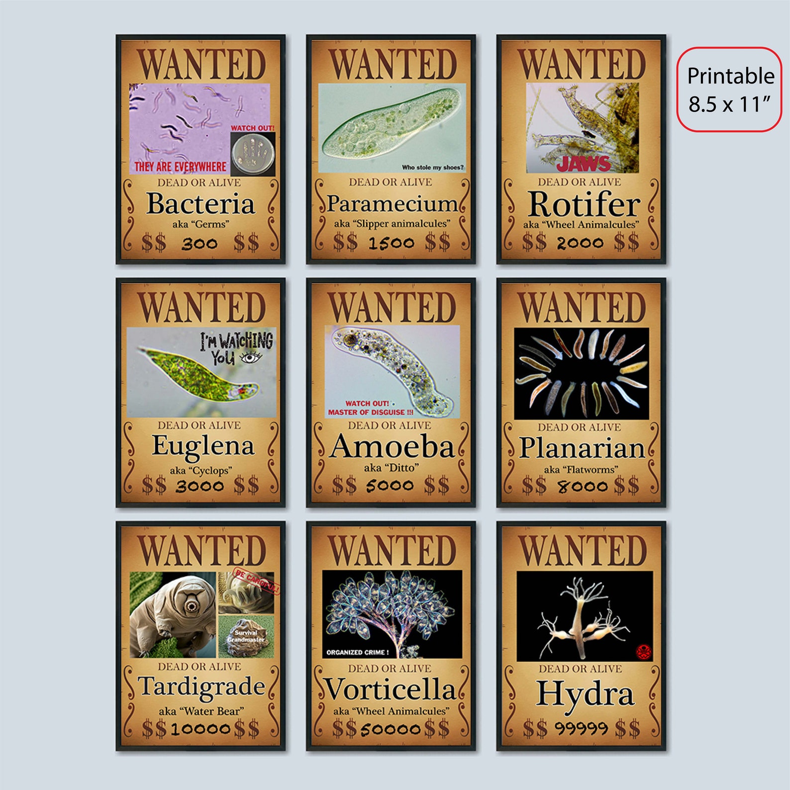 Microbe Hunter Wanted Poster Printable Classroom Decoration Fun Biology ...