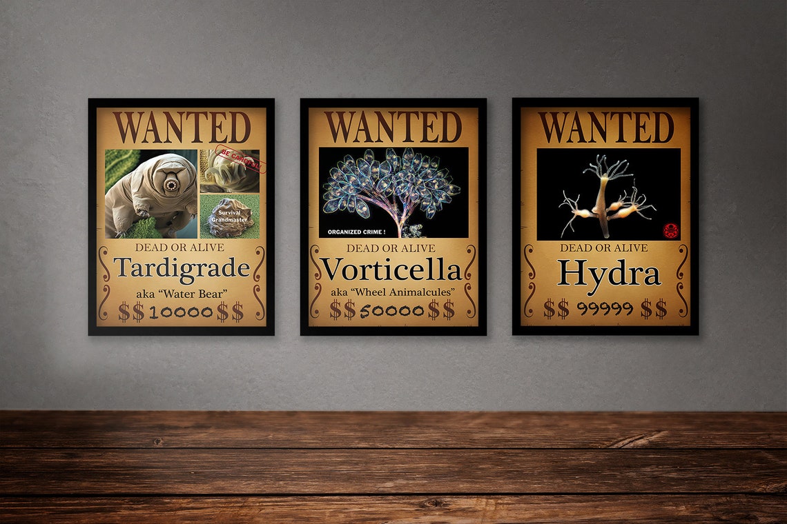 Microbe Hunter Wanted Poster Printable Classroom Decoration Fun Biology ...
