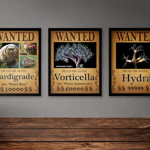 Microbe Hunter Wanted Poster: Science Classroom Decor (printable) - Etsy