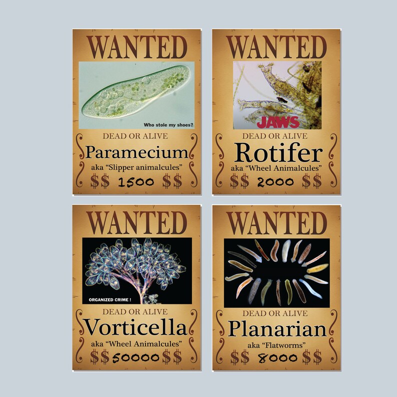 Microbe Hunter Wanted Poster: Science Classroom Decor (printable) - Etsy