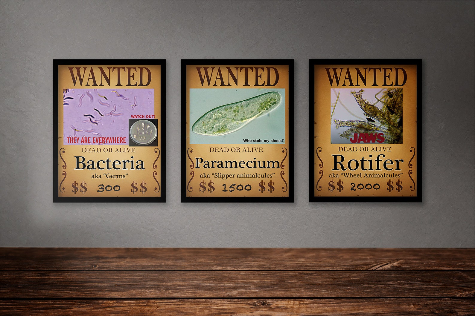 Microbe Hunter Wanted Poster Printable Classroom Decoration Fun Biology ...