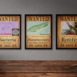 Microbe Hunter Wanted Poster Printable Classroom Decoration Fun Biology ...