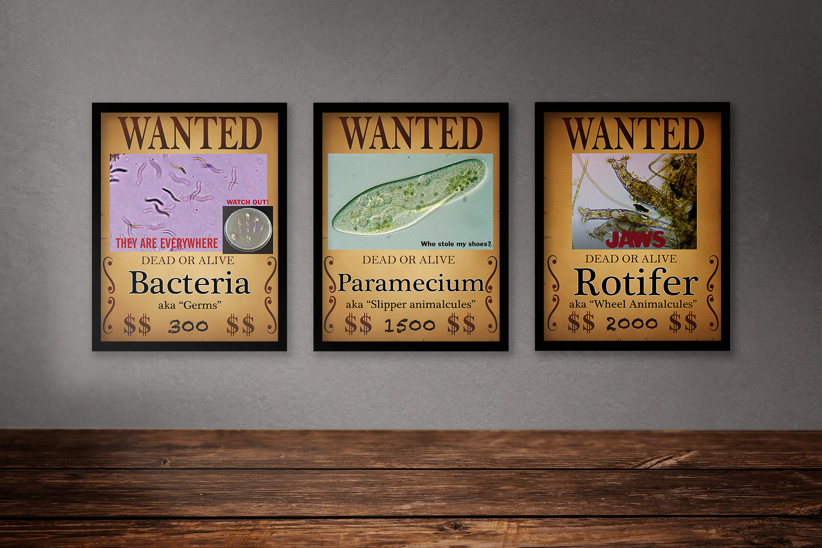 Microbe Hunter Wanted Poster Printable Classroom Decoration Fun Biology ...