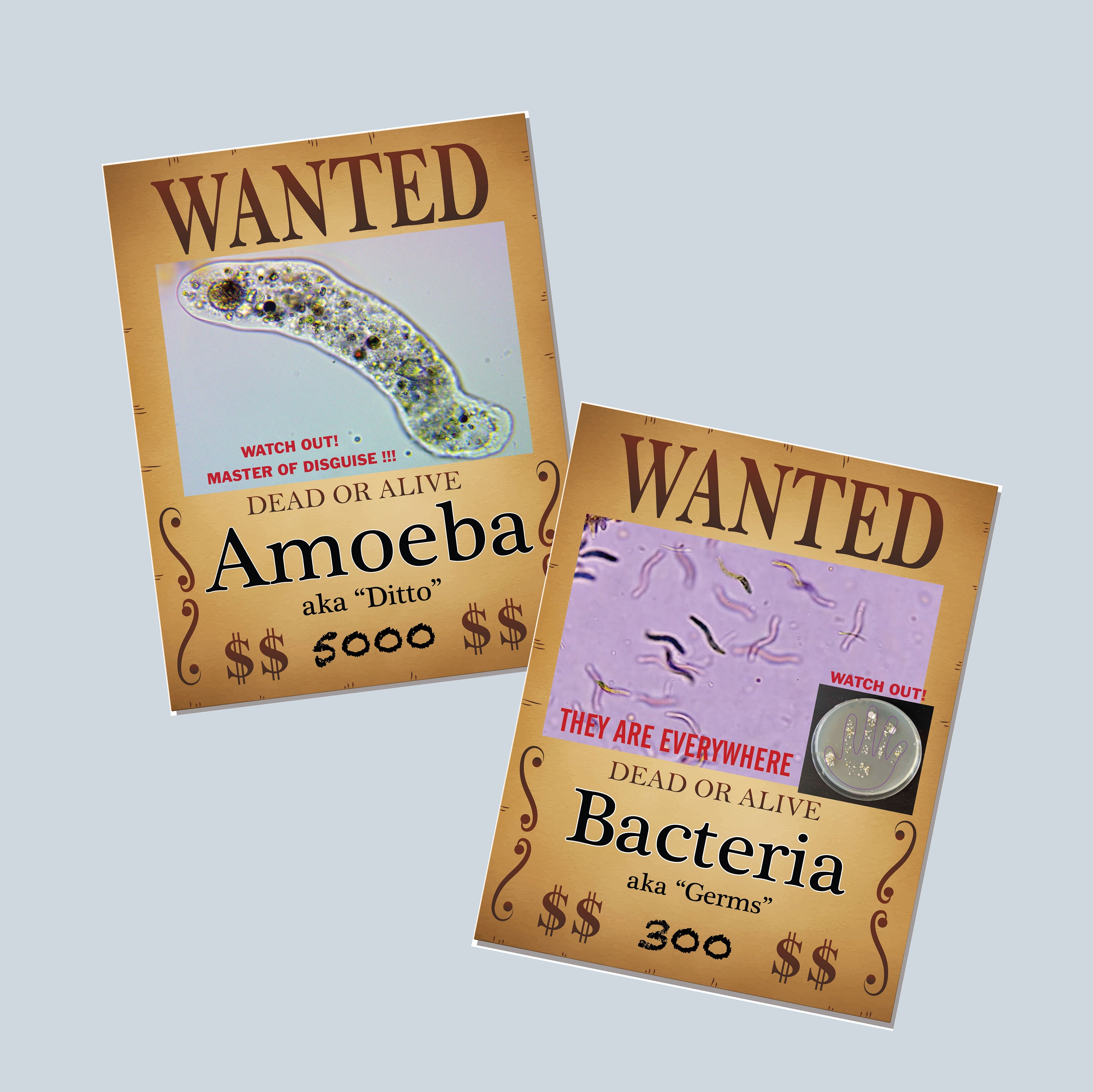 Most Wanted Bacteria Project