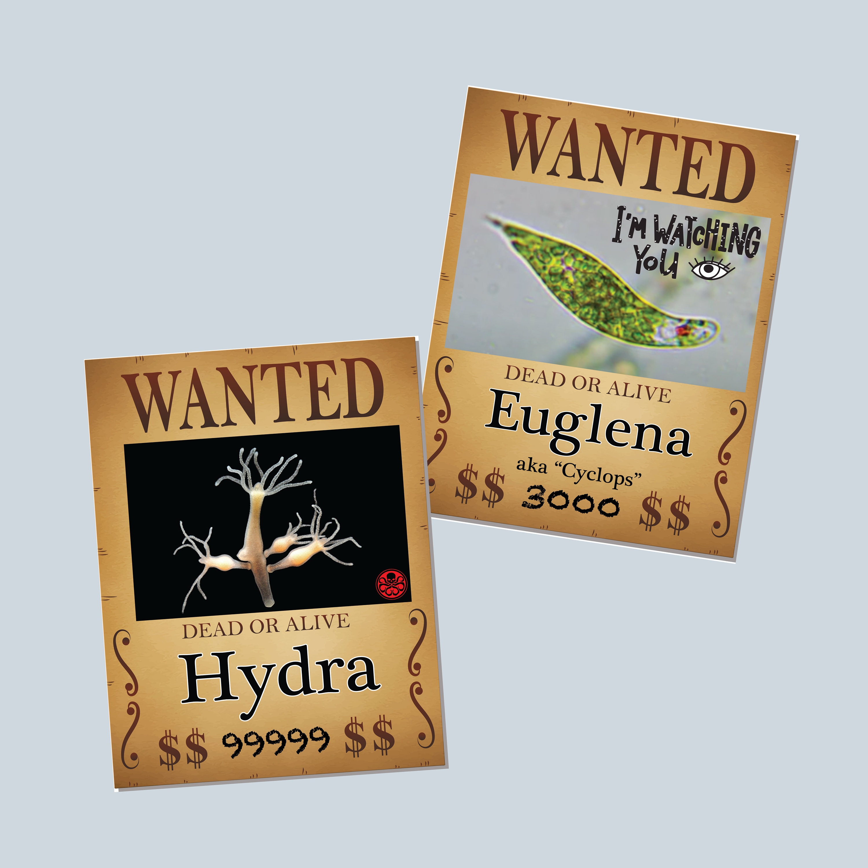 Microbe Hunter Wanted Poster Printable Classroom Decoration Fun Biology ...