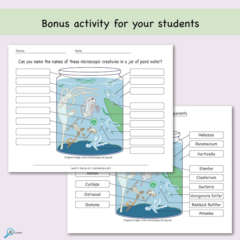 Microscope Notebook Recording Workbook Observation Science Biology ...