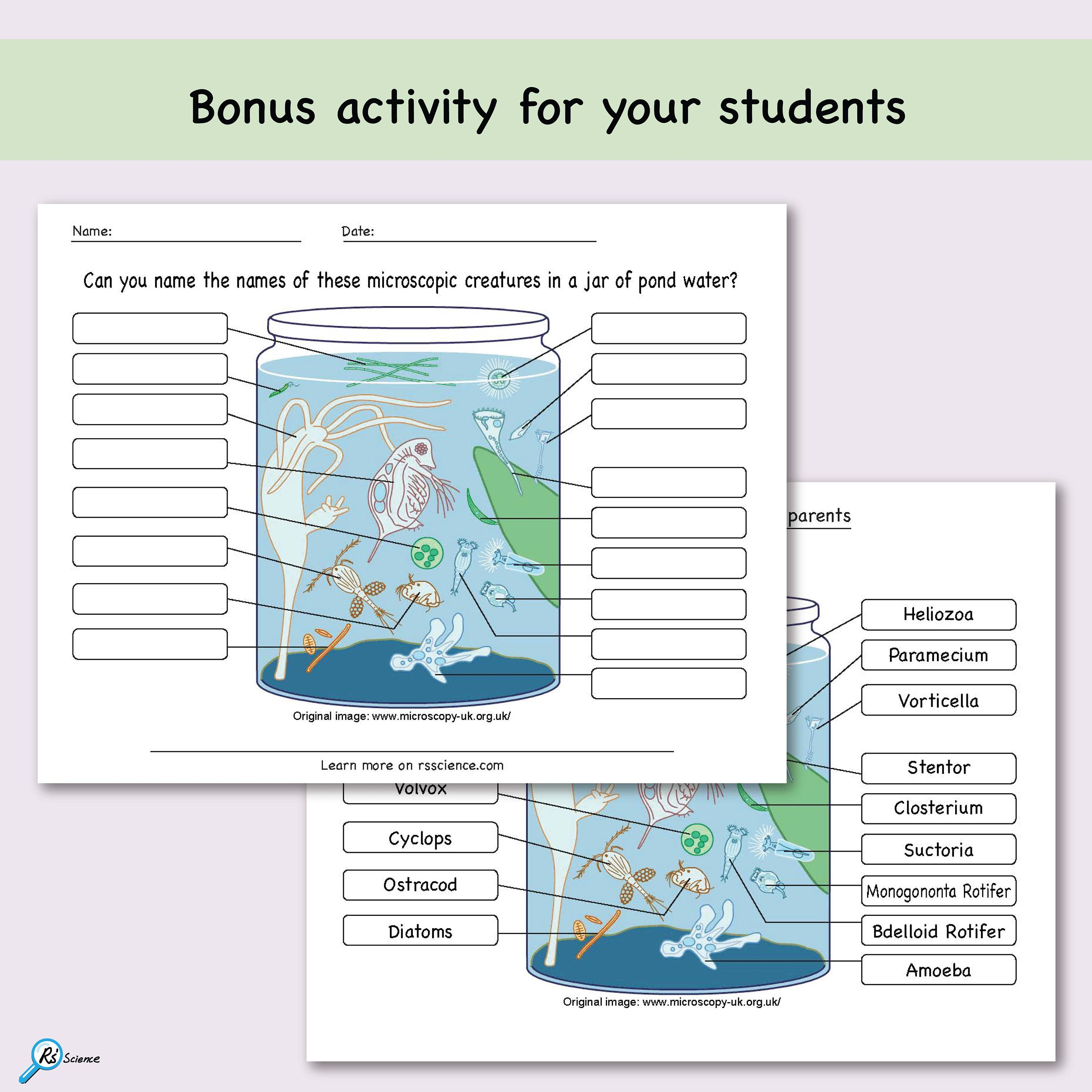 Microscope Notebook Recording Workbook Observation Science Biology ...
