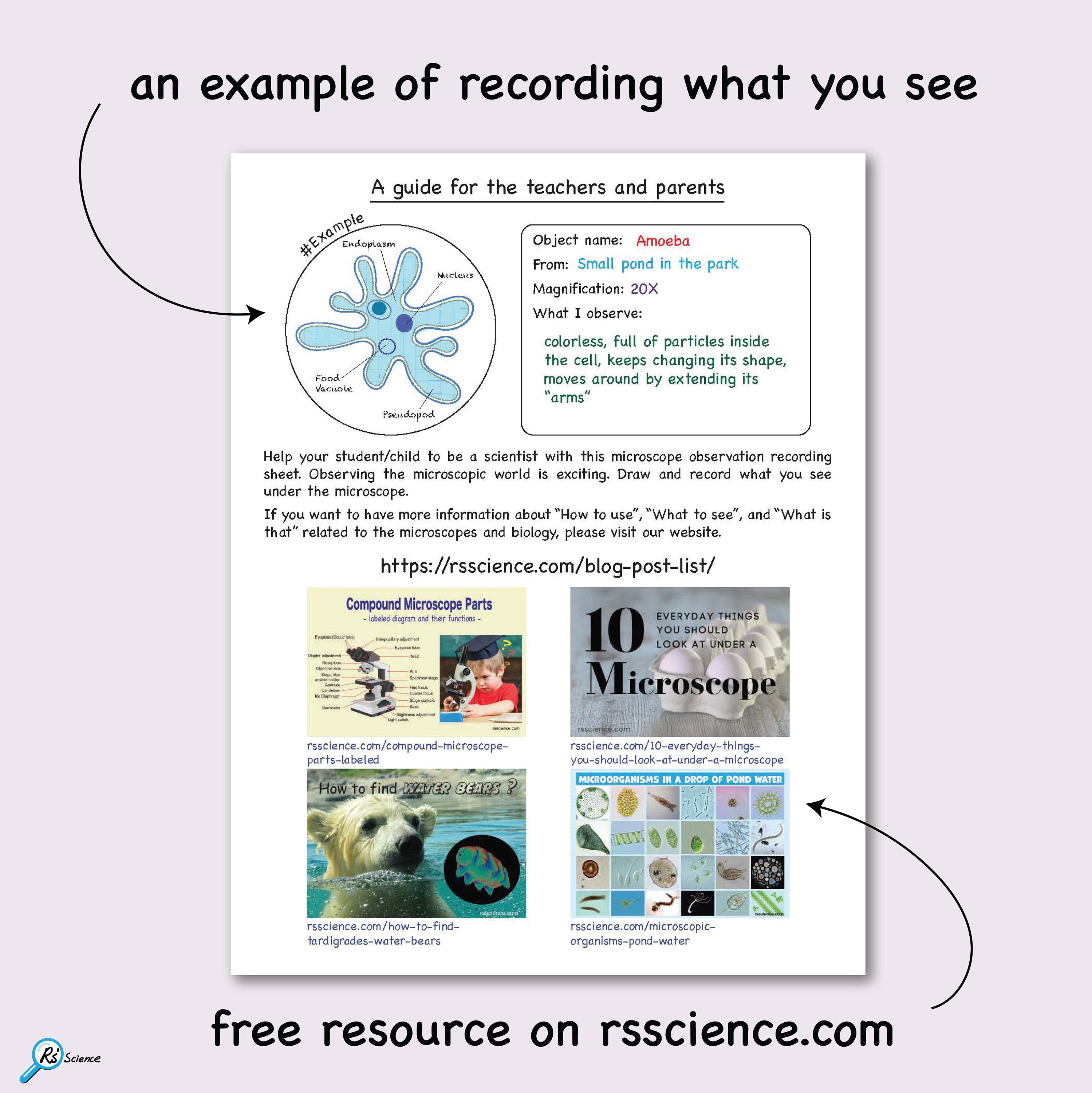 Microscope Notebook Recording Workbook Observation Science Biology ...