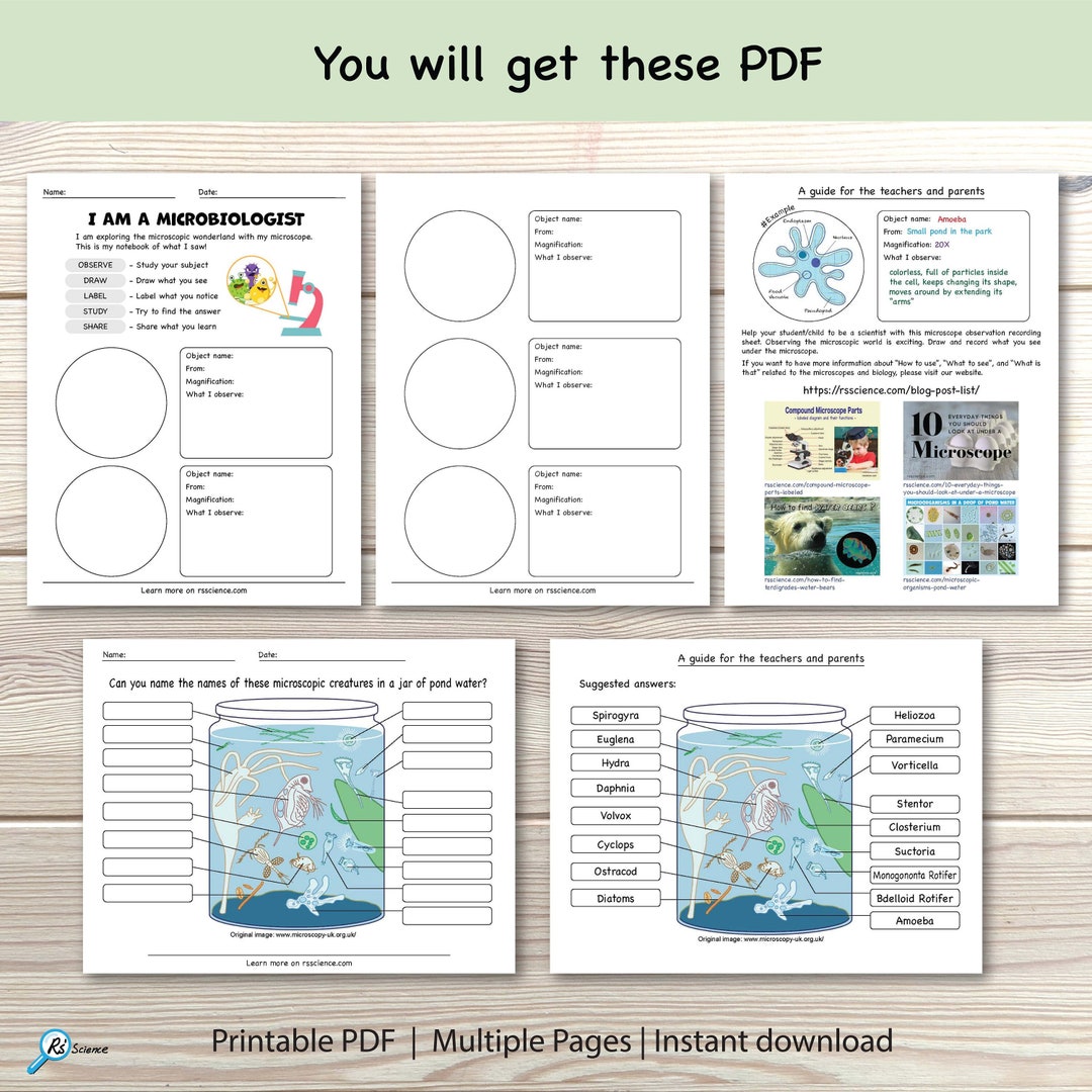Microscope Notebook Recording Workbook Observation Science Biology ...
