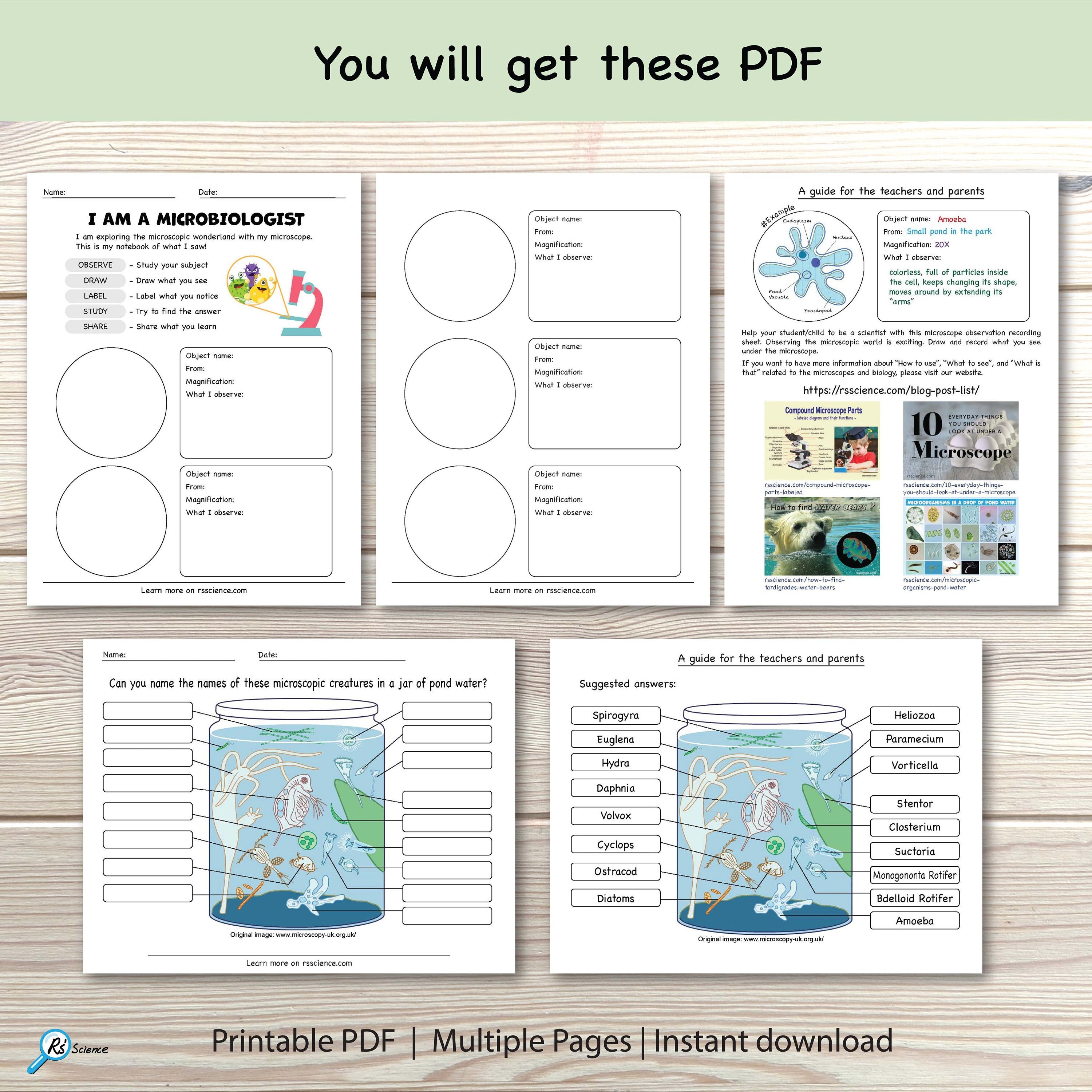 Microscope Notebook Recording Workbook Observation Science Biology ...