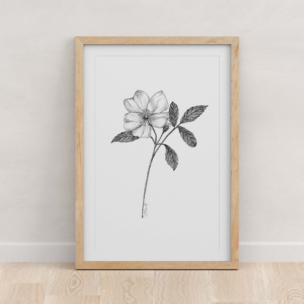 Prairie Rose - Etsy
